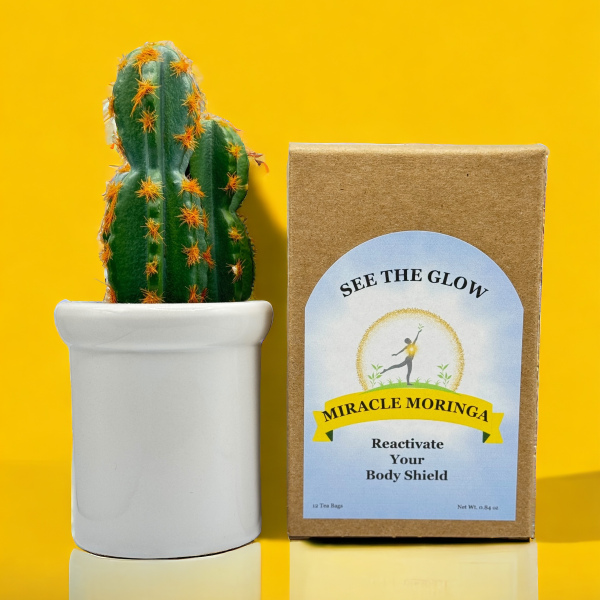 Miracle Moringa Herbal Tea | See The Glow